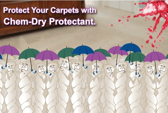 Carpet Stain Protector In Singapore – Best Rug & Carpet Protector ...